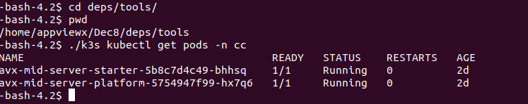 Steps to check pod status